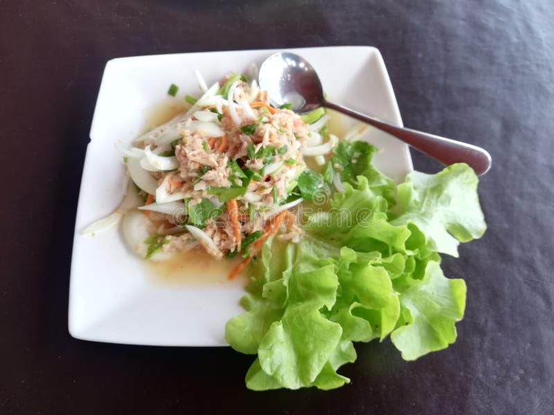 Spicy Tuna salad stock photo. Image of onion, celiri - 157987890
