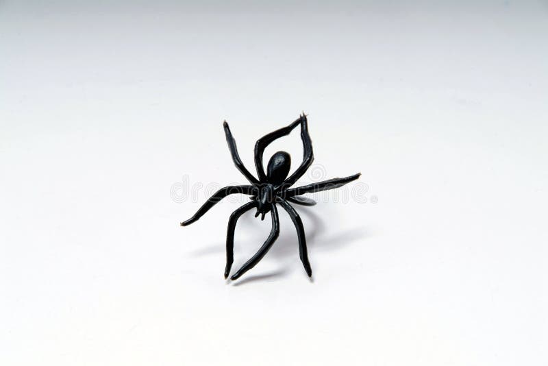 231 Hanging Tarantula Spider Stock Photos - Free & Royalty-Free Stock ...