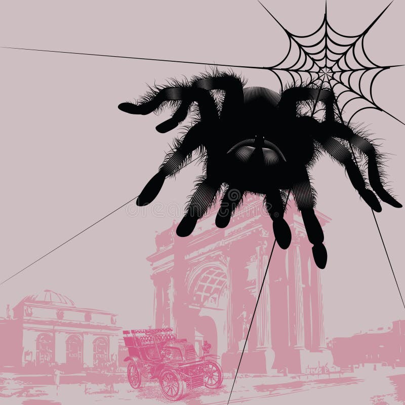 Spider and car stock vector. Illustration of mystery - 10578794