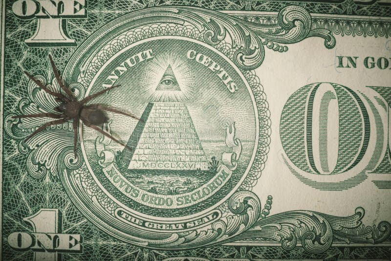 A Spider Crawls on a One- Dollar Bill Stock Photo - Image of banking ...