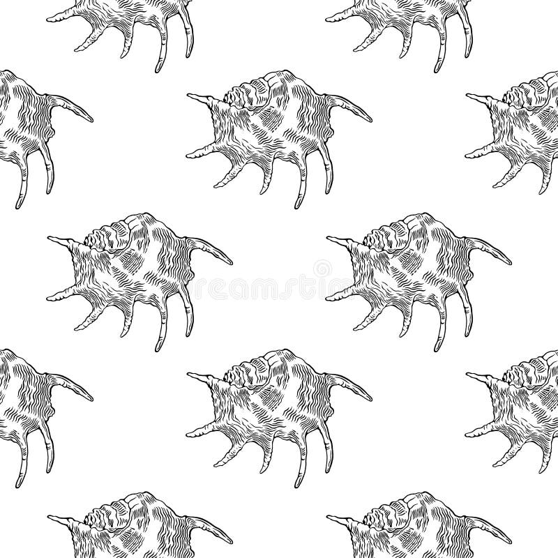 Conch Patterns Stock Illustrations – 118 Conch Patterns Stock ...