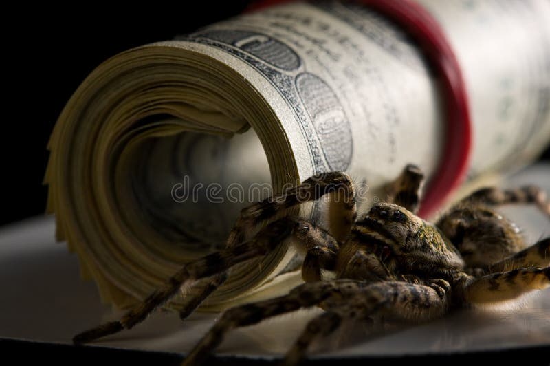 Spider and Dollars - Money Protection Concept Stock Photo - Image of ...