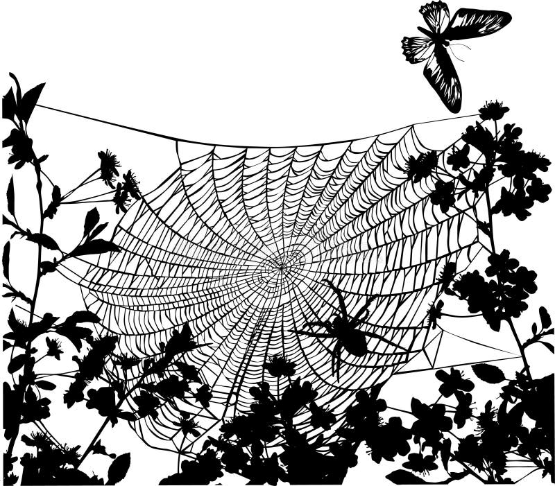 Spider web illustration stock illustration. Illustration of sticky ...
