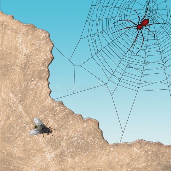 Spider and Fly stock illustration. Illustration of housefly - 12144303