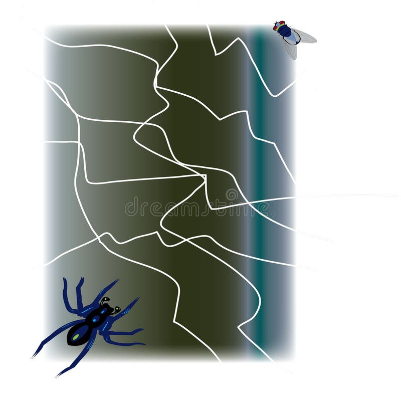 Spider and Fly stock vector. Illustration of hunting - 12863776