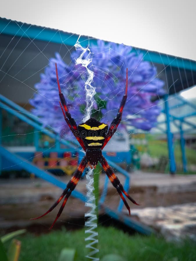 Egg Flower or Bunga Telur a Traditional Malay Wedding Stock Photo ...