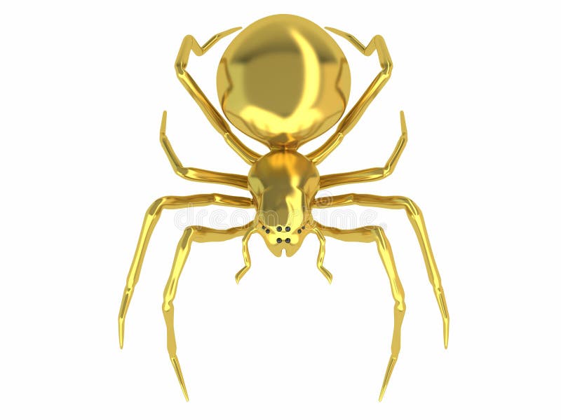 Spider stock photo. Image of insect, predator, jewelry - 39113648