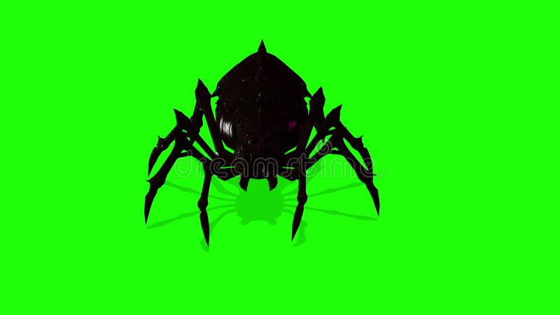 Spider on Green Screen Creepy Crawling Stock Video - Video of spider ...