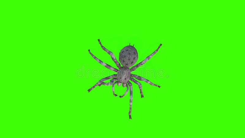 3D Realistic Large Elephant Slowly Walking on the Ground with Side View ...