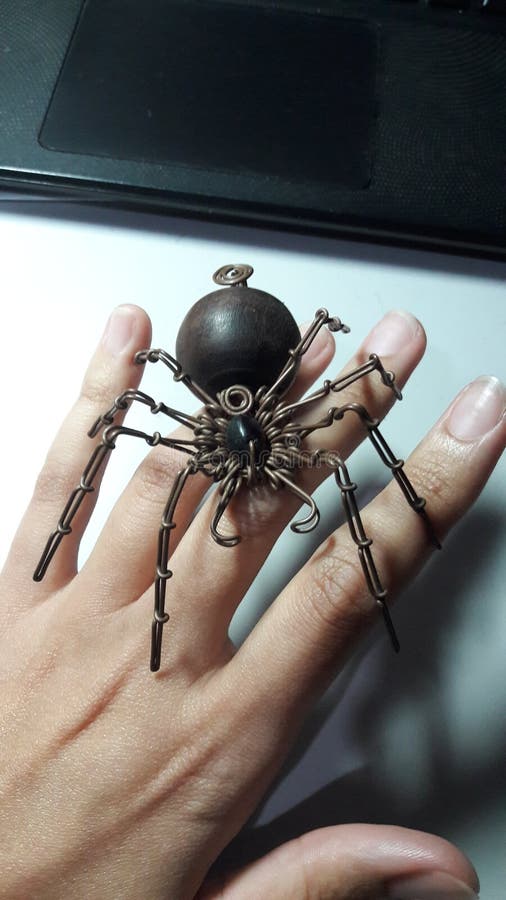Spider of hand stock image. Image of pest, insect, arthropod - 229433303