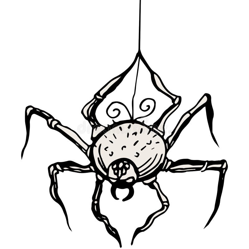 Spider Hanging on Thread stock vector. Illustration of symbol - 35156262