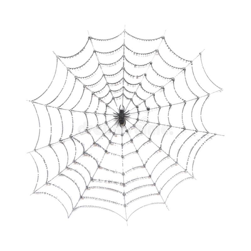 Spider Hanging Web on Transparent Background - Ai Generated Stock ...