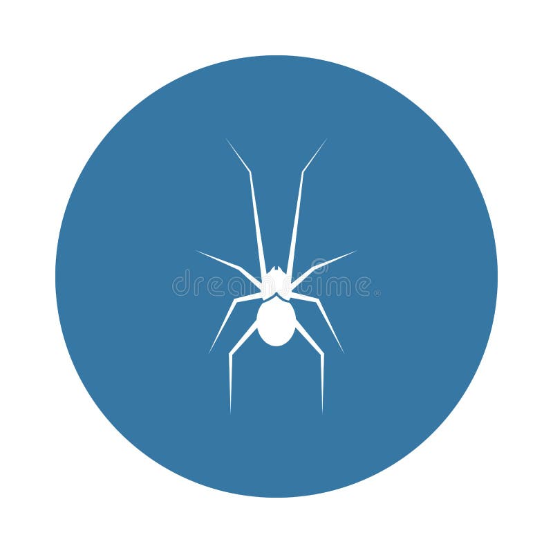 Spider Icon. Element of Insect Icons for Mobile Concept and Web Apps ...
