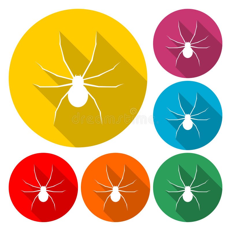 Spider with long shadow stock vector. Illustration of isolated - 83527016