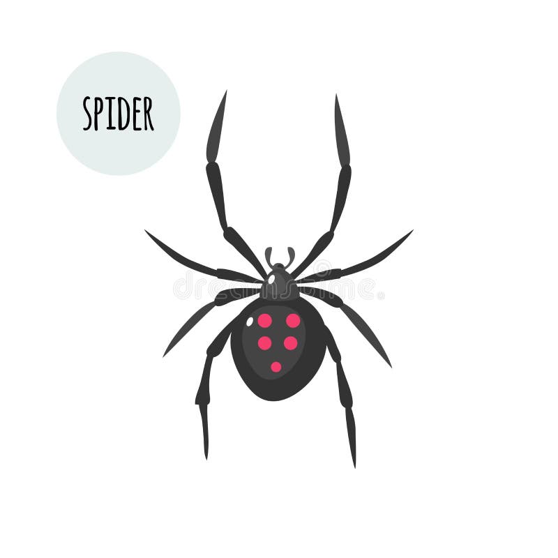 Redback Spider Red Stock Illustrations – 148 Redback Spider Red Stock ...
