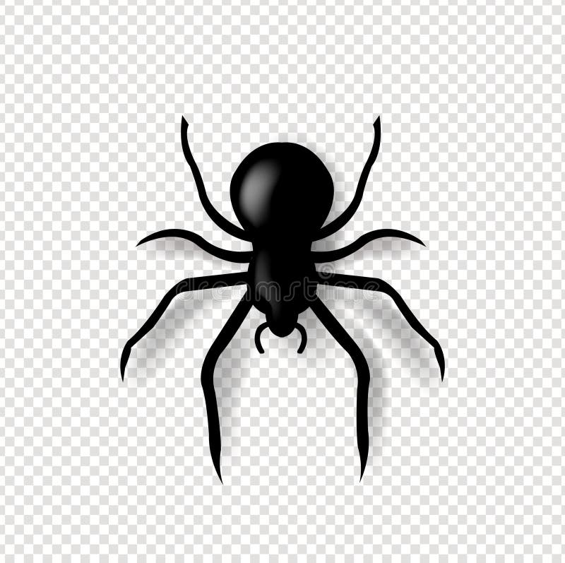 Spider and Isolated Transparent Background Stock Illustration ...