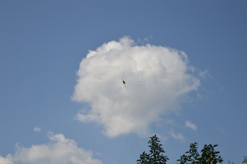 A Landscape of Clear Sky with Clouds and Spider Stock Image - Image of ...