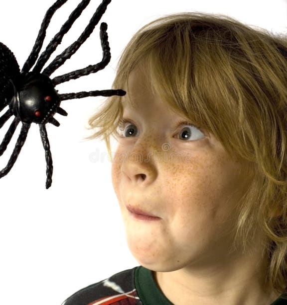 Spider Kid stock image. Image of humor, girl, grin, attractive - 2362397