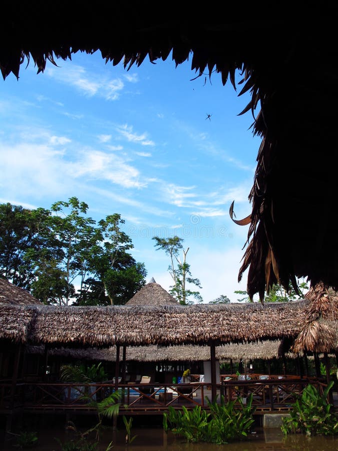 Spider Hotel South Africa Stock Photos - Free & Royalty-Free Stock ...