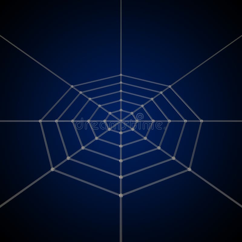 Spider Net Picture. Image: 9850216