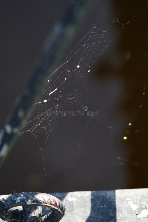 Spider net on the bridge stock photo. Image of light - 246061614