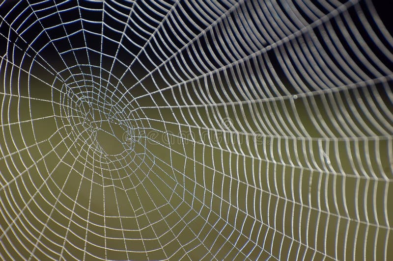Spider net stock image. Image of nature, pattern, jeweler - 33639137