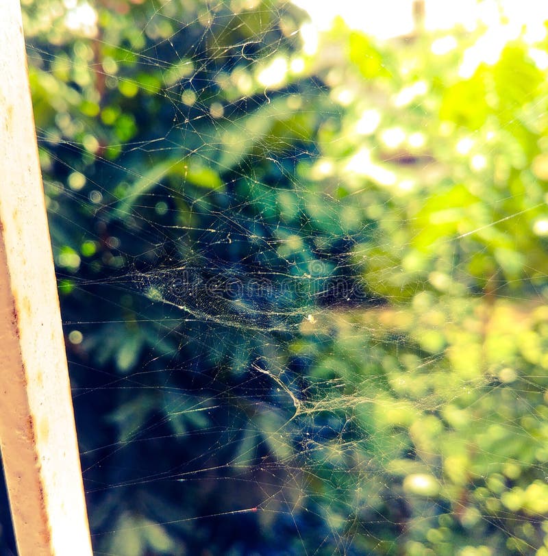 The Amazing Spider Net in the World Stock Photo - Image of making ...