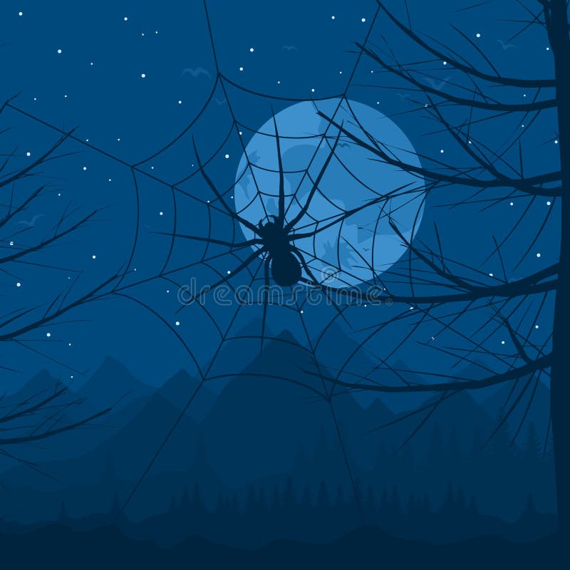 Spider at night stock vector. Illustration of insect - 21593377