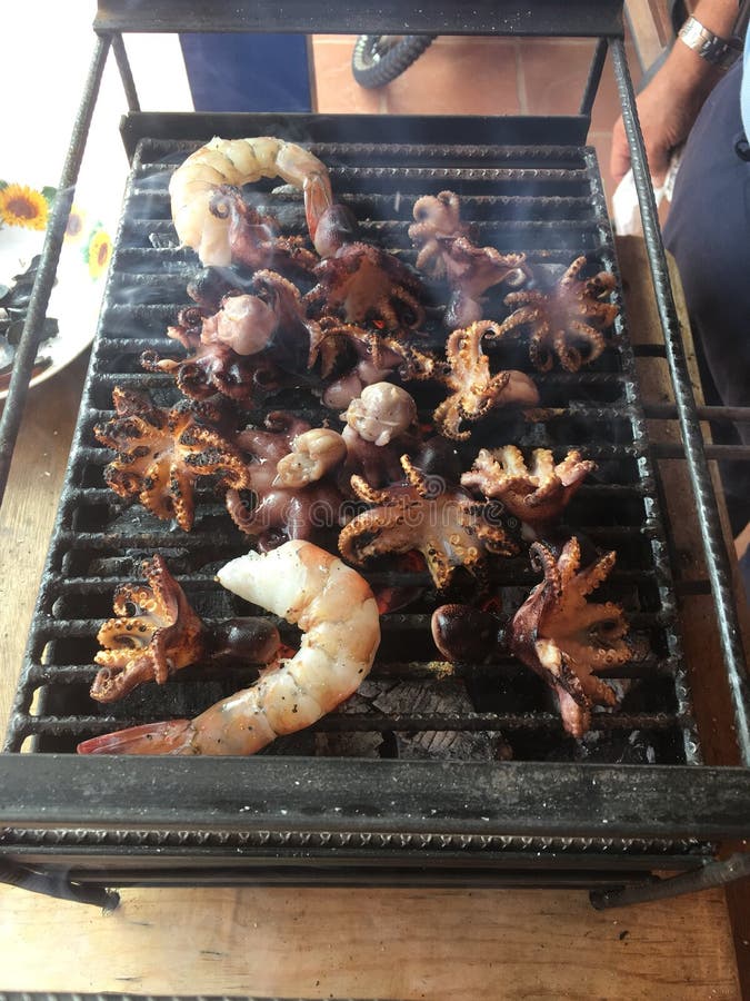 Spider octopus stock photo. Image of coal, spicy, spider - 108856664