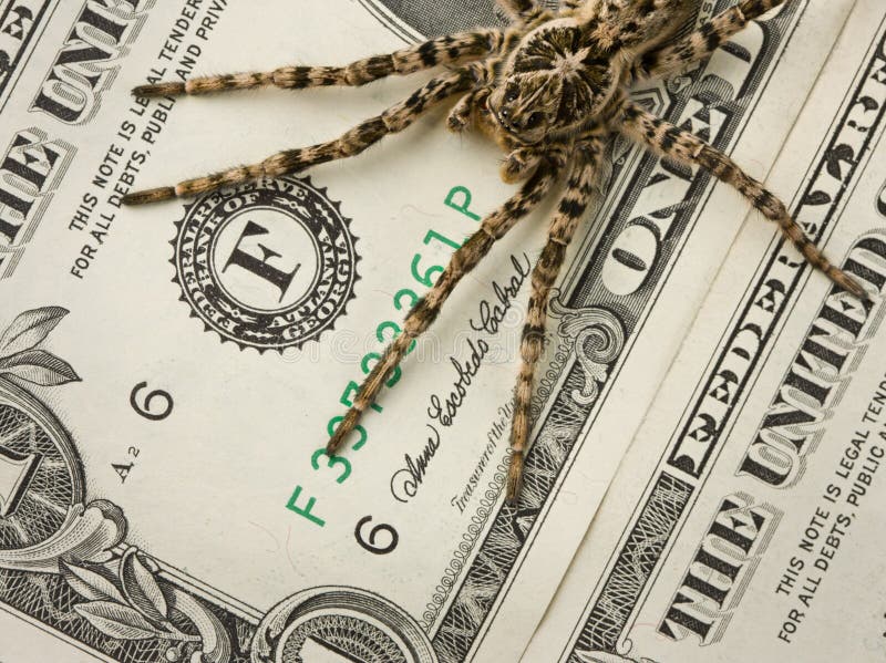 Tarantula and Money - Finance Protection Concept Stock Photo - Image of ...