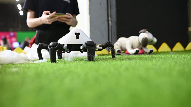 Spider Robot Demonstrates Its Skills at the Robotics Exhibition. Stock ...