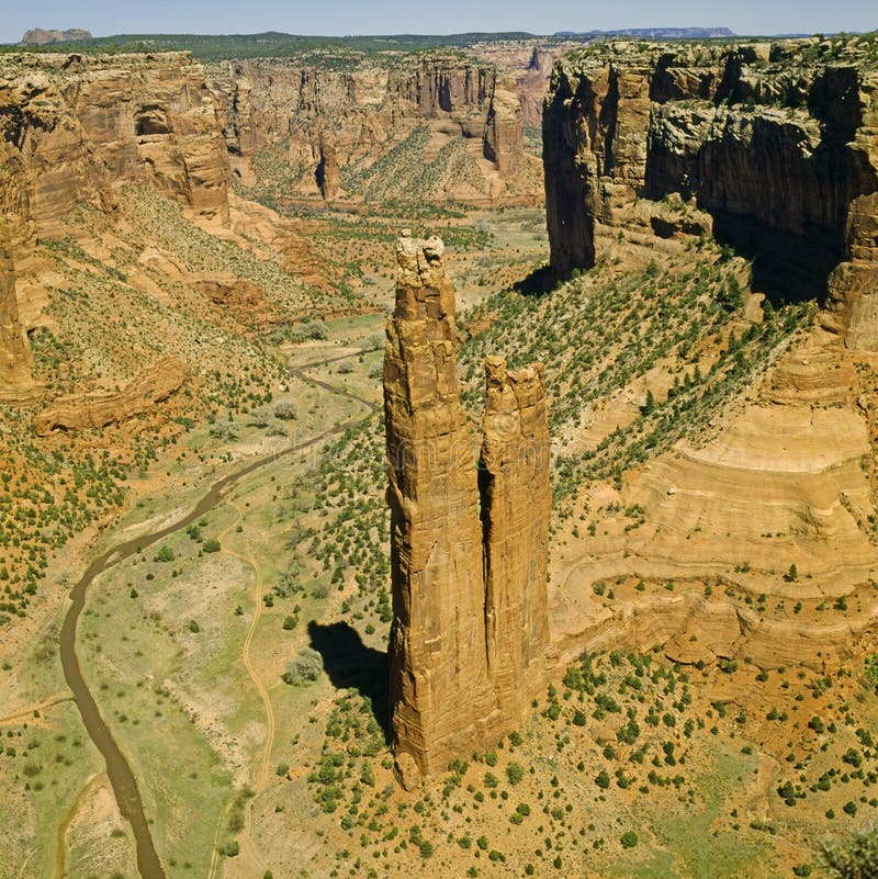 Spider Rock stock photo. Image of flora, nature, spider - 31364216