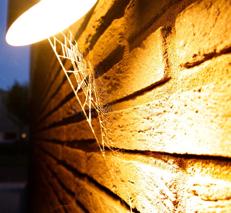 A Spider S Web between a Lamp and a Brick Wall Stock Image - Image of ...