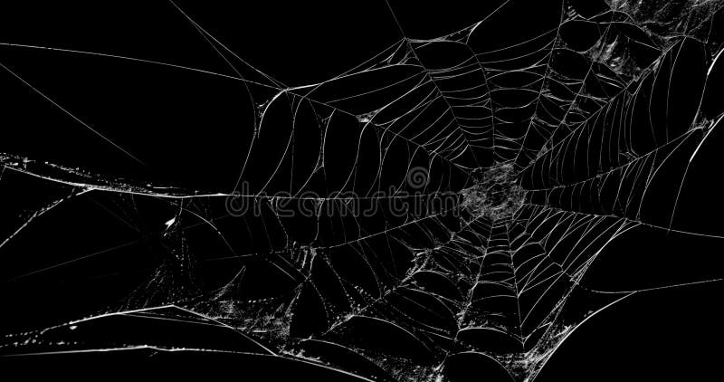 Realistic Spider S Web Black Background Stock Illustration ...