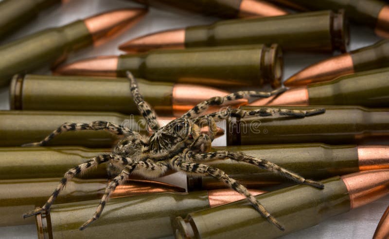 Spider safeguard weapon stock photo. Image of equipment - 16726828