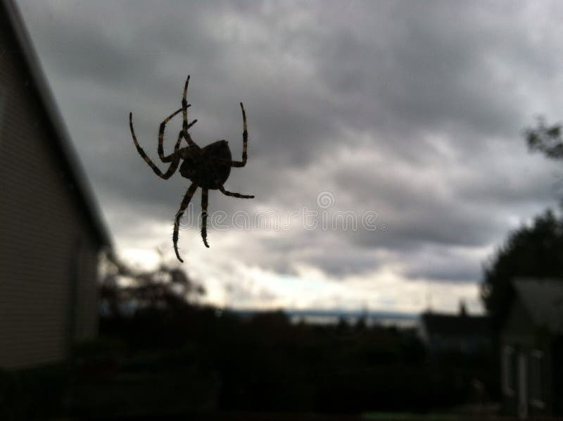 Spider stock image. Image of cloud, clouds, cold, winter - 46782609