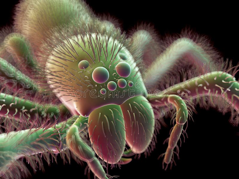 A spider stock illustration. Illustration of eyes, head - 59792100