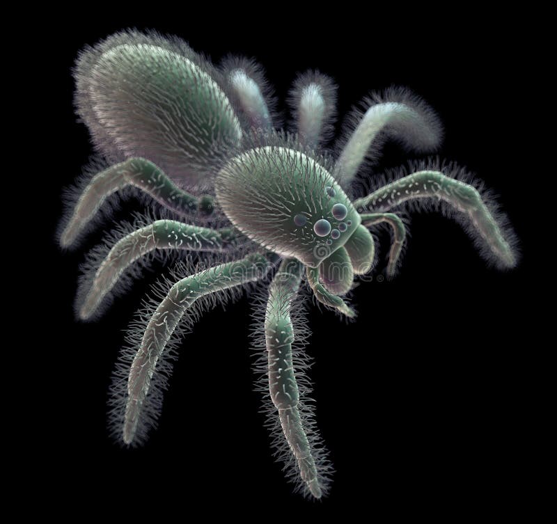 A spider stock illustration. Illustration of rendering - 59795104