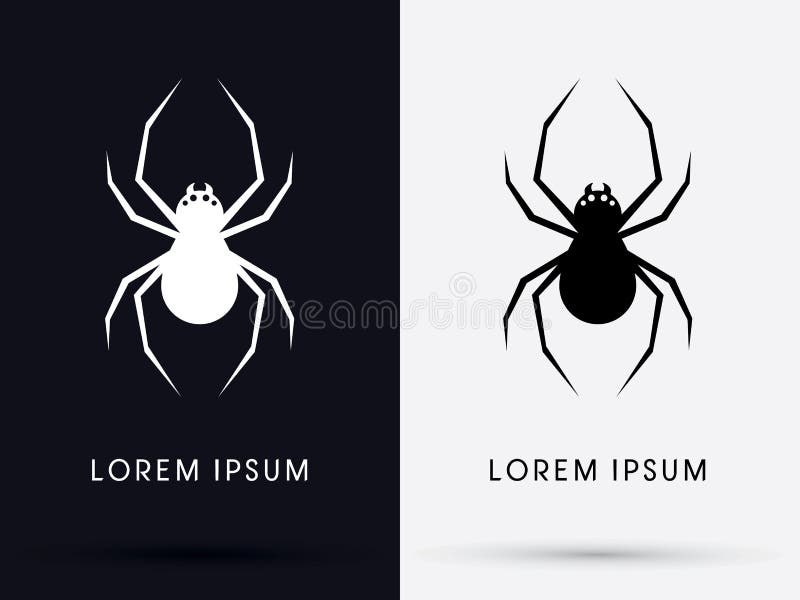 Spider shadow art stock vector. Illustration of modern - 87904473