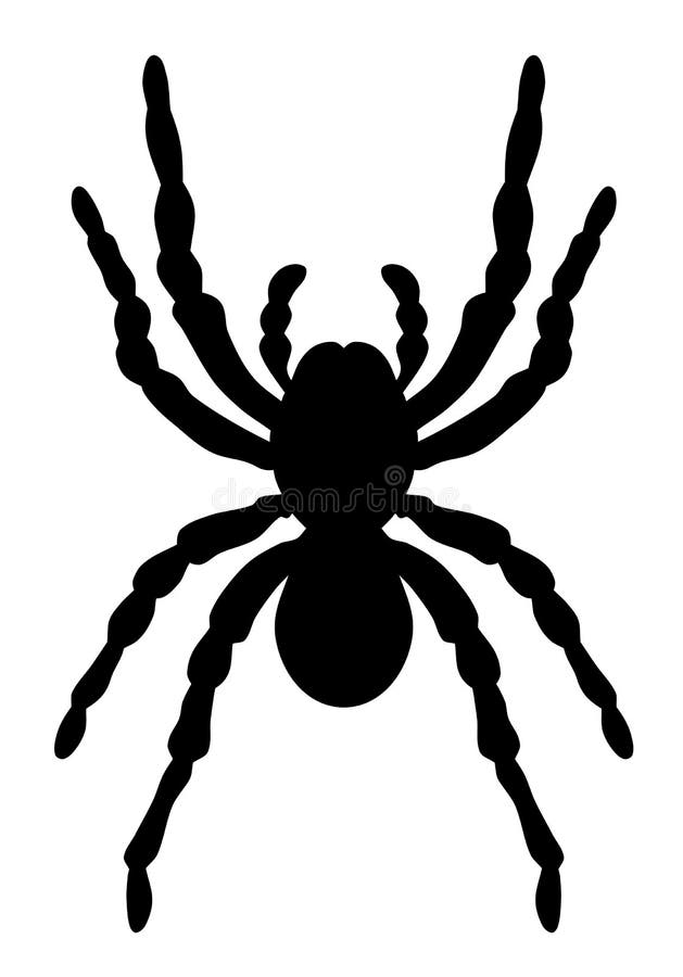 Top View Spider Stock Illustrations – 937 Top View Spider Stock ...