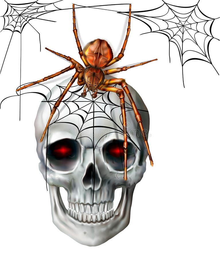 Spider on a skull stock vector. Illustration of skull - 162293190
