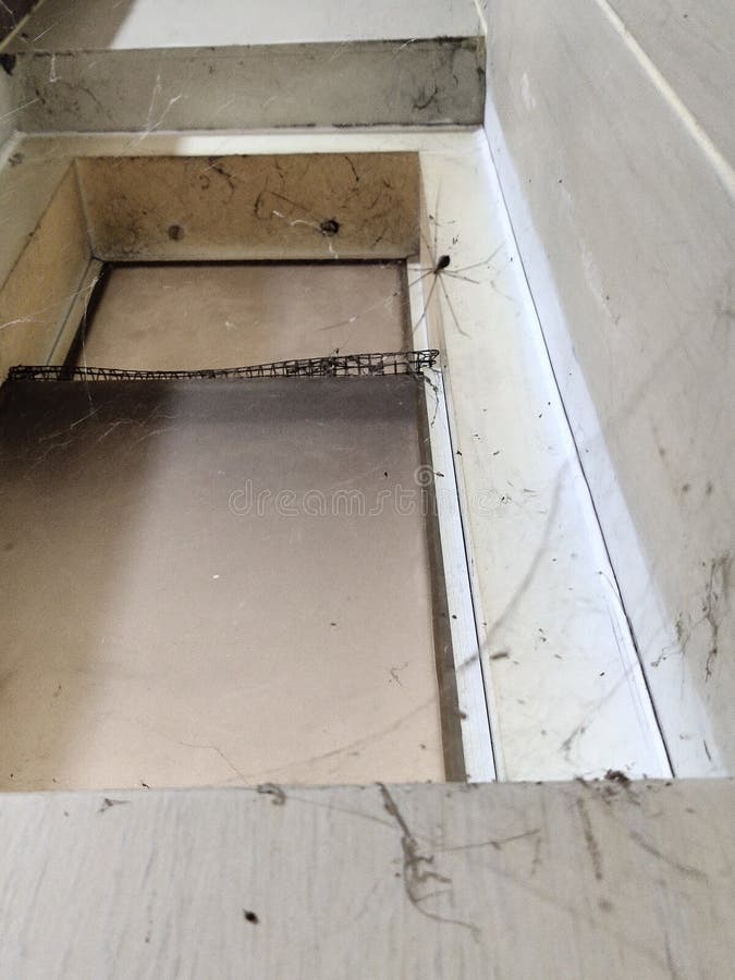 A Spider and Spider S Net Inside the House Stock Photo - Image of house ...