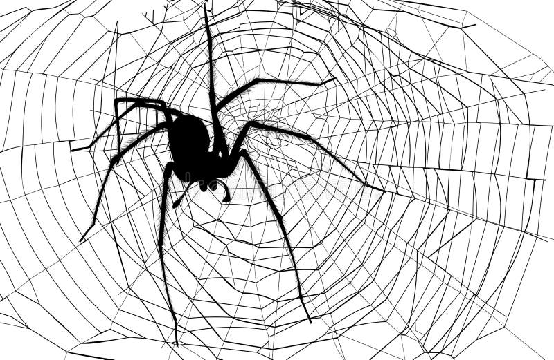 Wolf Spider Stock Illustrations – 460 Wolf Spider Stock Illustrations ...