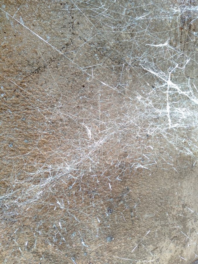 Spidertexture stock photo. Image of spider, spidertexture - 146790050