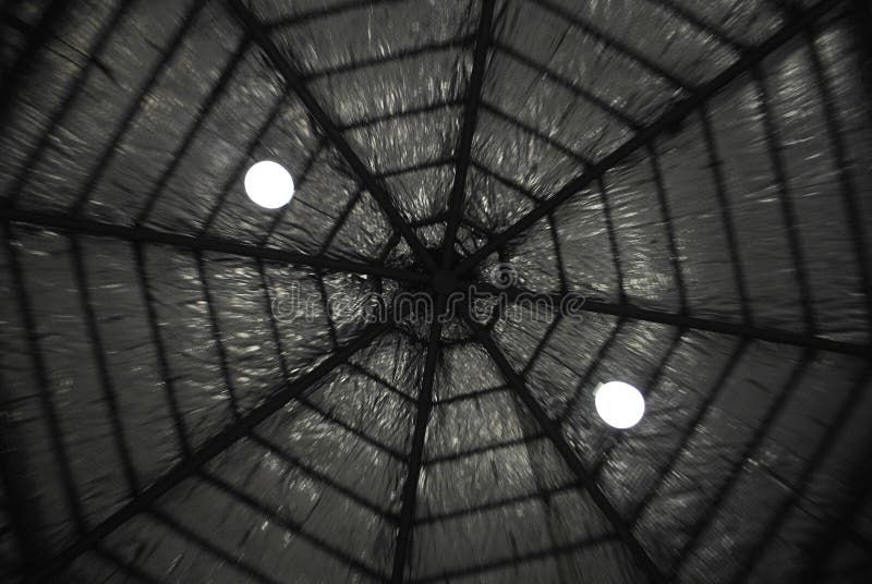 The Spider Structure Web Roof Black Photo Stock Photo - Image of ...