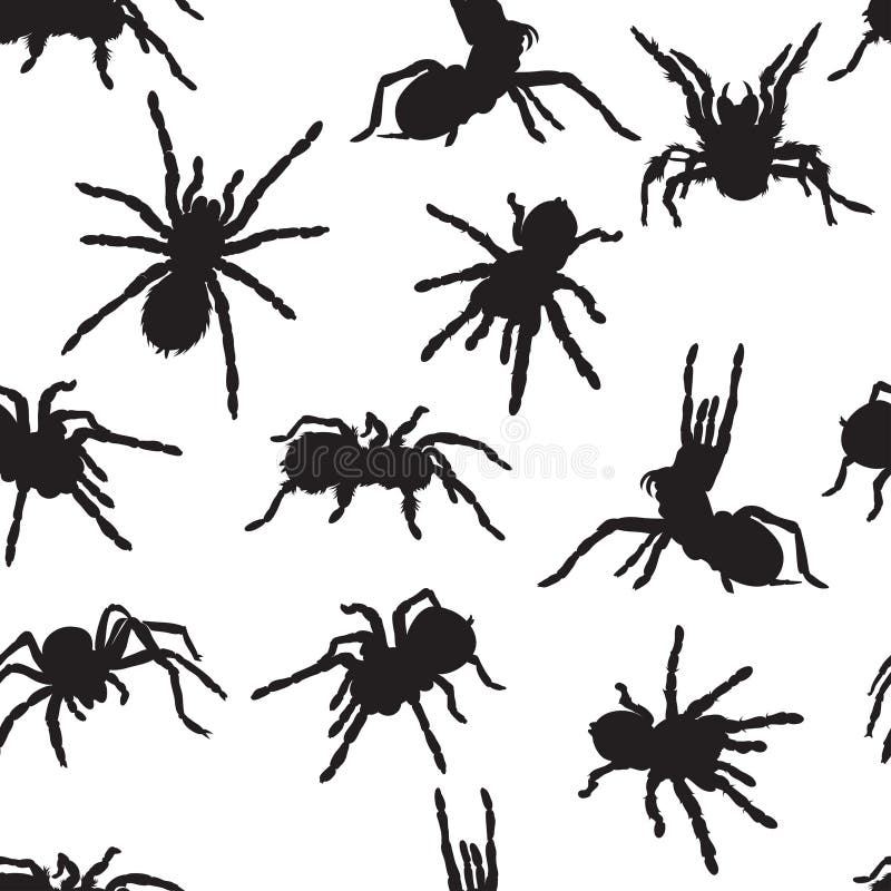 Spider, Tarantula, Insect, Various Poses, Movements and Foreshortenings ...