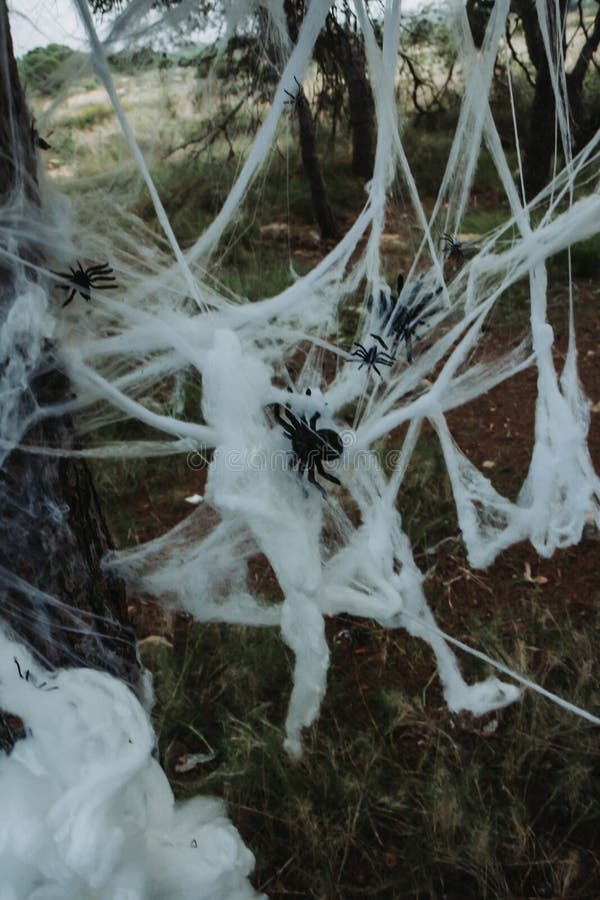 Spider Toys Hanging on a Web Stock Image - Image of close, danger ...