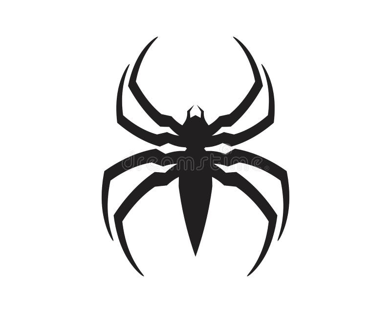 Spider Vector and Insect Animal Stock Vector - Illustration of animal ...