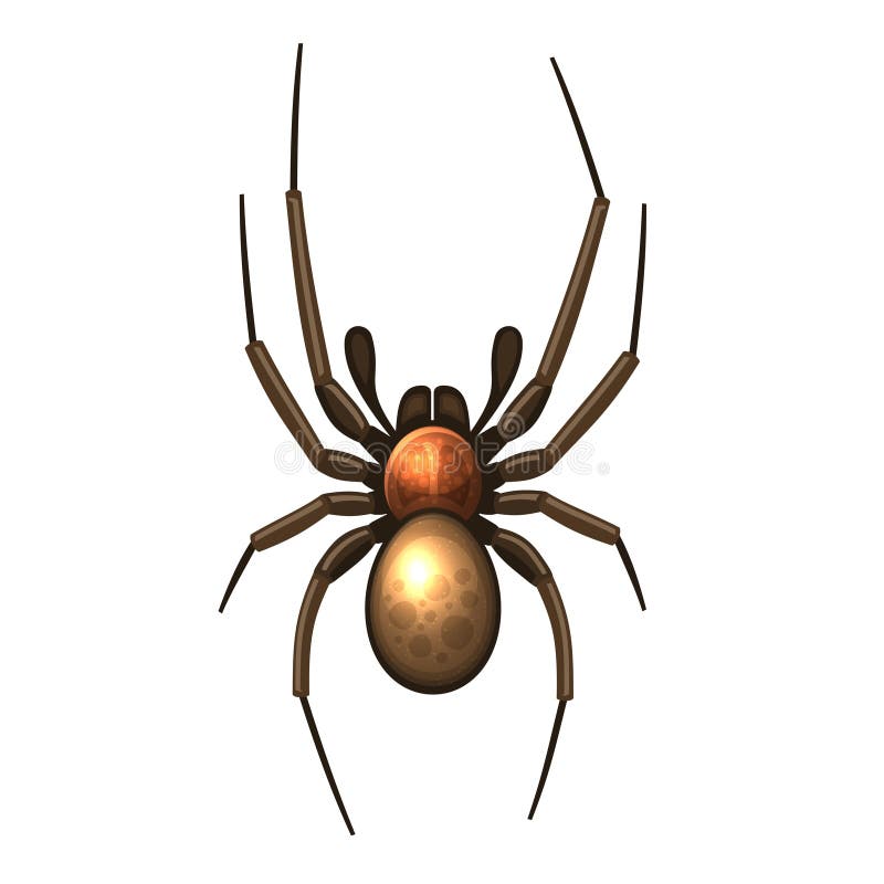 Redback Spider stock vector. Illustration of river, hunting - 39334116