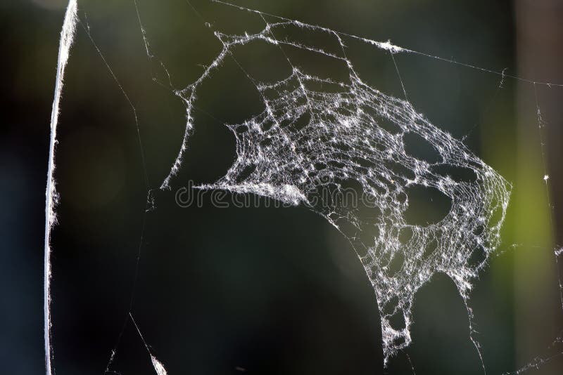 Spider web or broken glass stock vector. Illustration of shattered ...